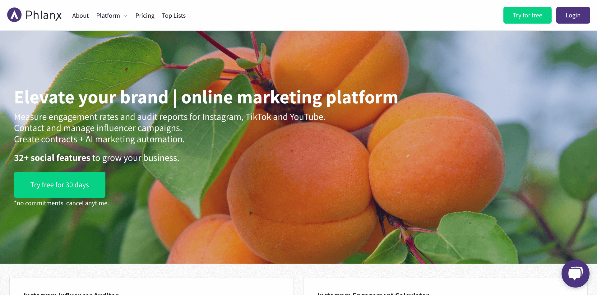 Exolyt Social Media Competitor Analysis Tool Exolyt Social Media Competitor Analysis Tool